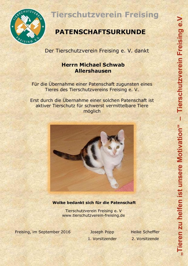 Katzen – Tierschutzverein Freising e.V.